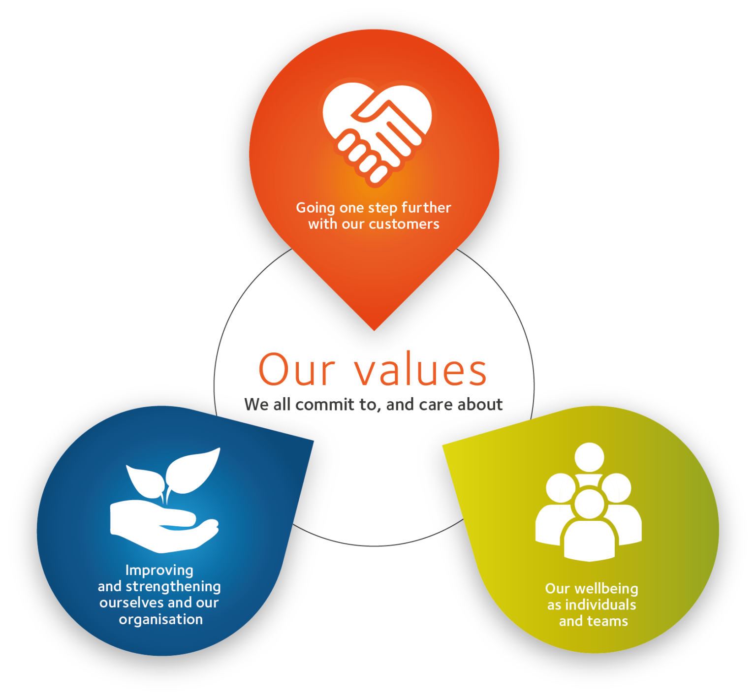 About us - Calico Group