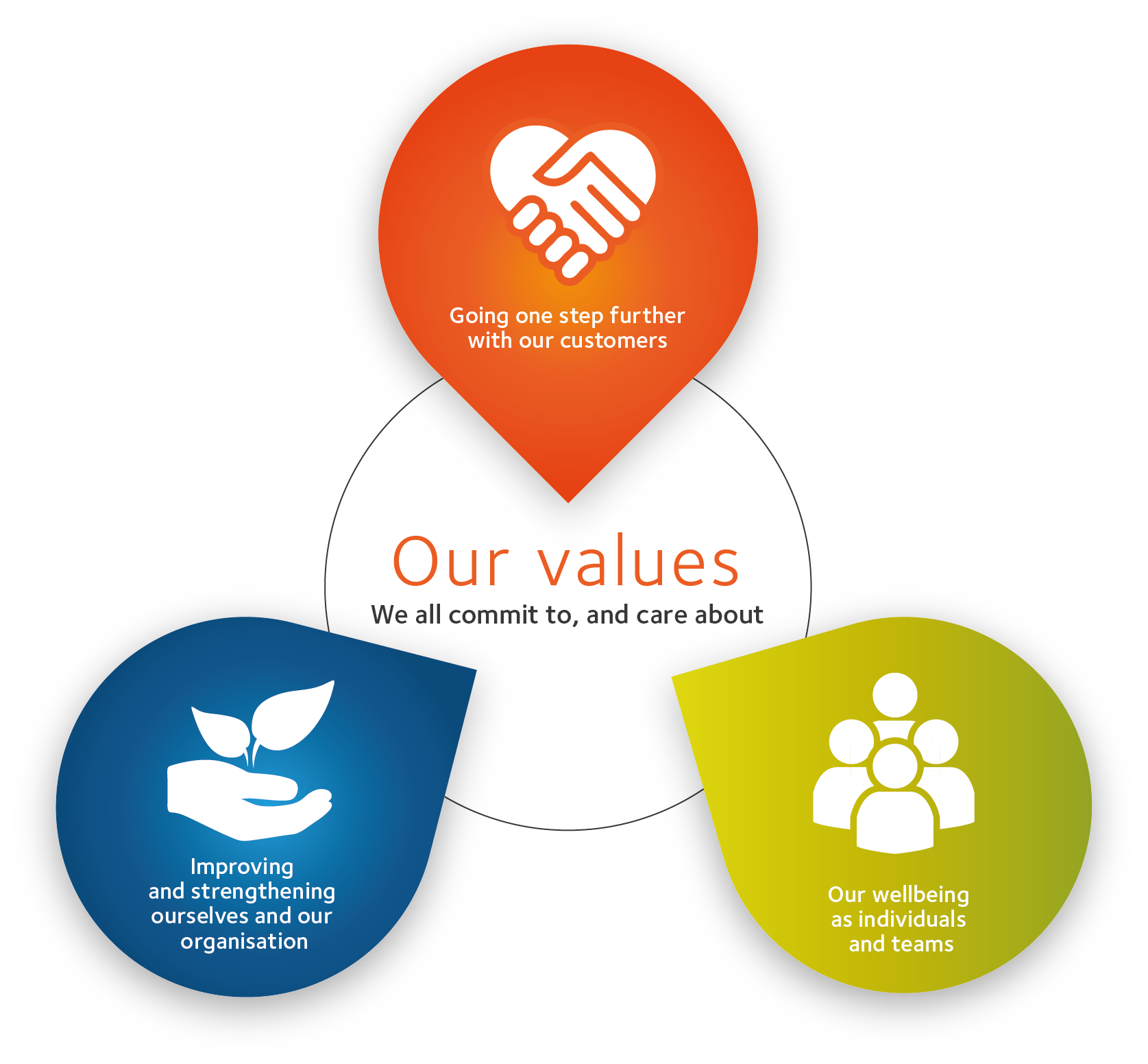 About us - Calico Group